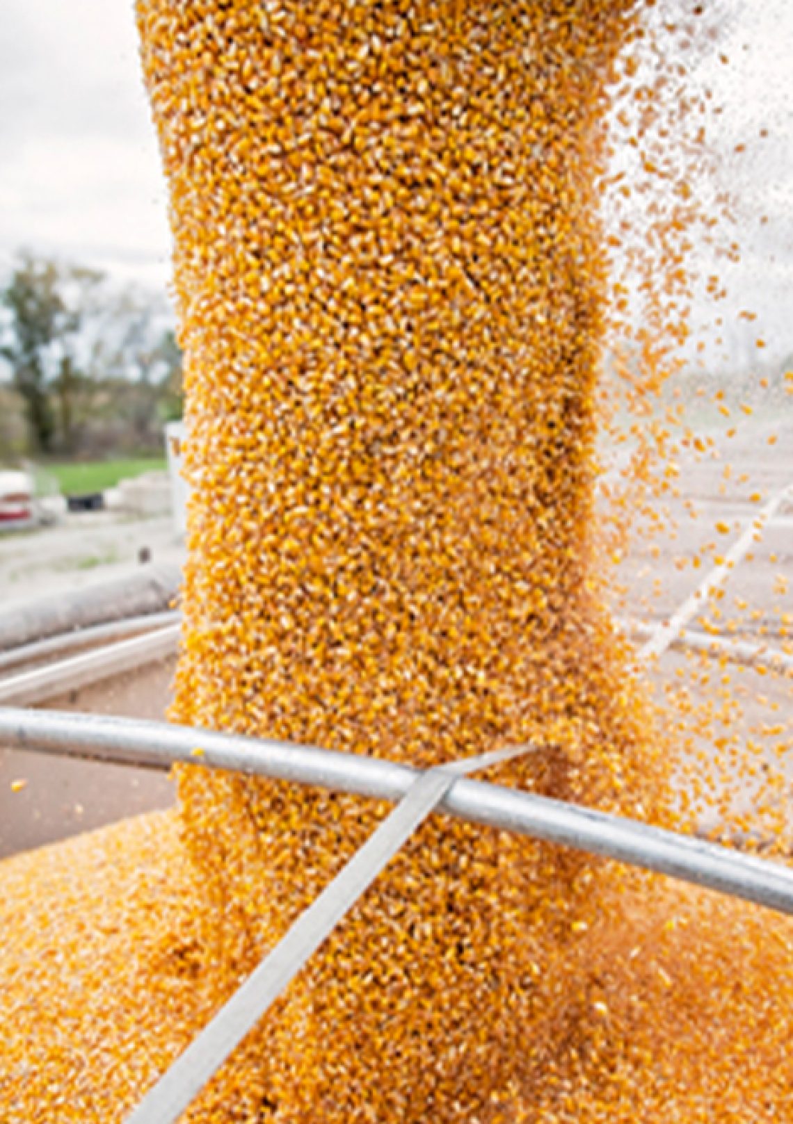 Iowa Corn’s "Day in the Life – Harvest 2017" Campaign Highlights Farmers