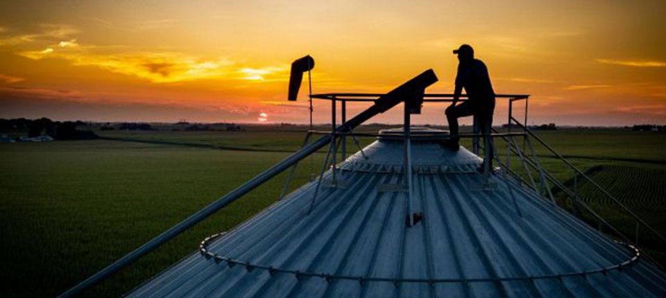 Discover How Corn Grows Iowa: #CornGrowsIowa Campaign Video